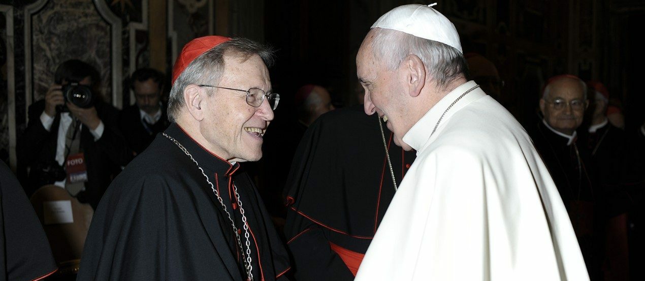 The Pontifical Academy for Life and revisiting the Kasper proposal ...