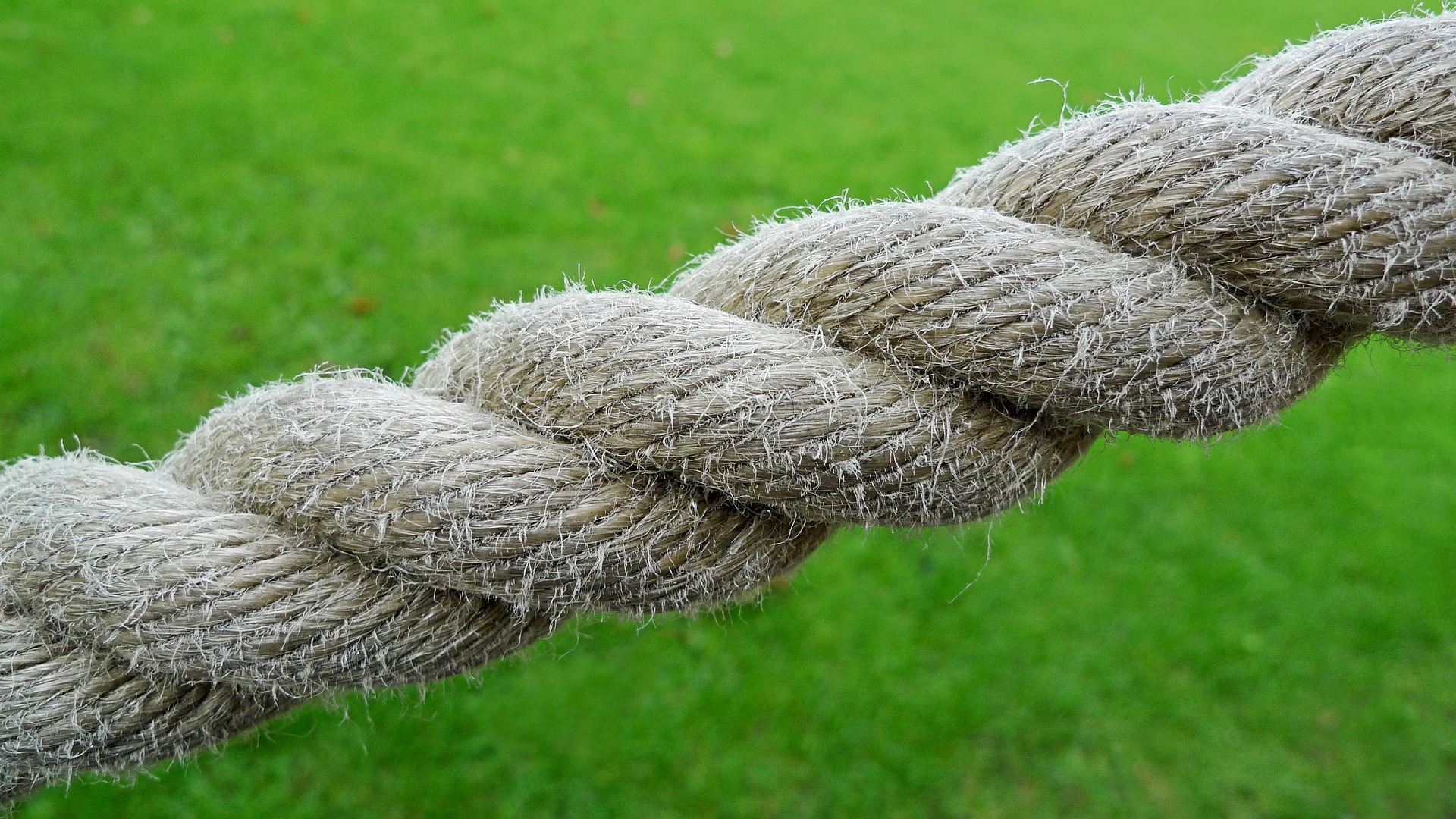 Pope Francis, discernment, and spontaneity - Where Peter Is