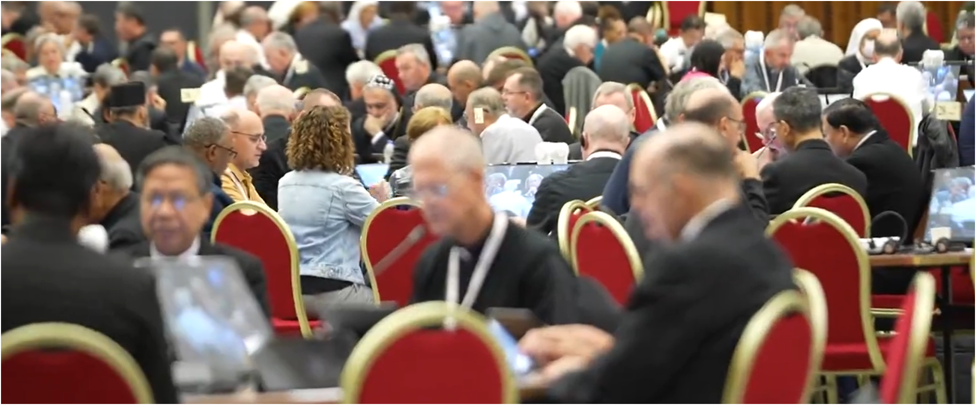 Guide for Synod 2024 (Updated Frequently) - Where Peter Is