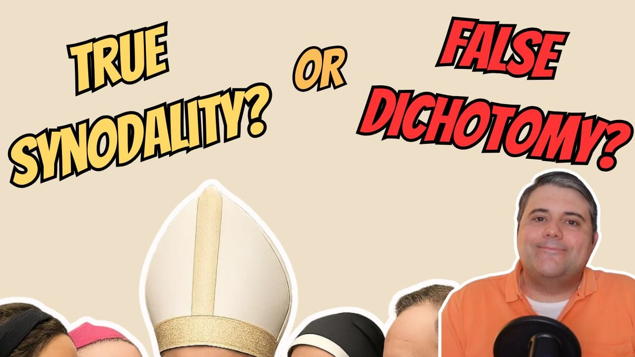 Synodality: Debunking the False Divide Between Francis and Leo XIV ...